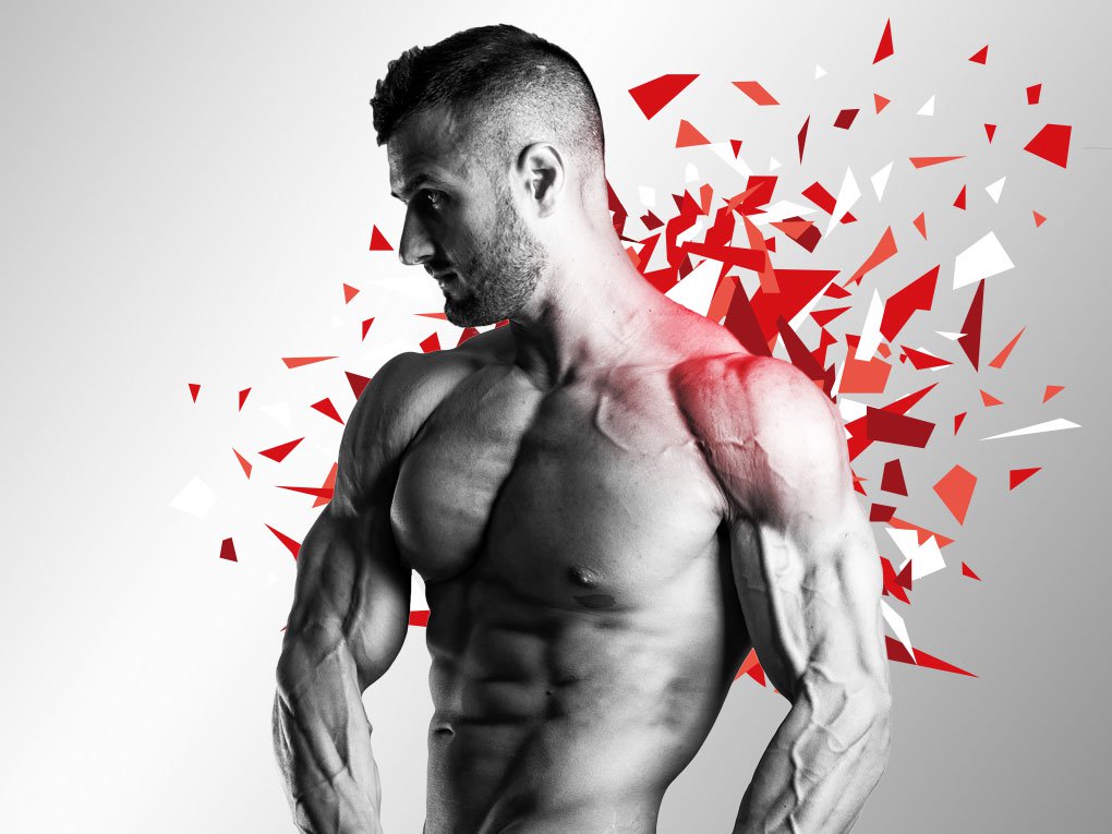 Whey Protein – The Basics – Reflex Nutrition